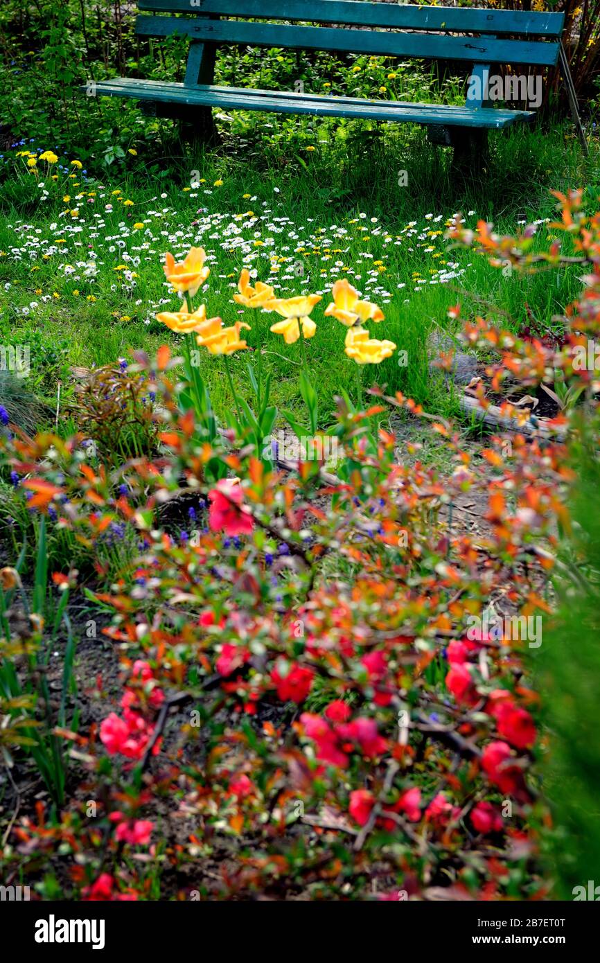 bench, bush, chair, empty, fall, furniture, garden, grass, green, lane ...