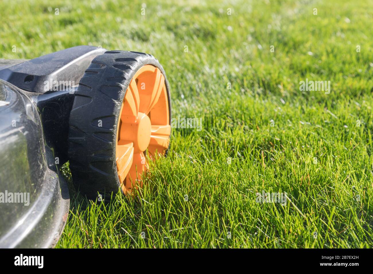 Closeup of a Wheel of a lawn mower on grass Stock Photo - Alamy
