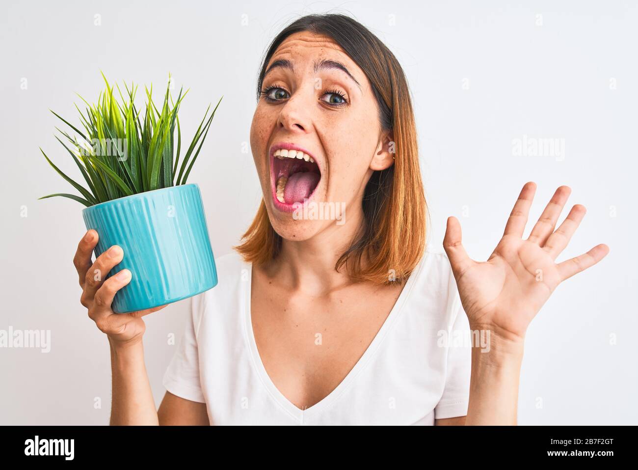 Beautiful redhead woman holding plant pot over isolated background very ...
