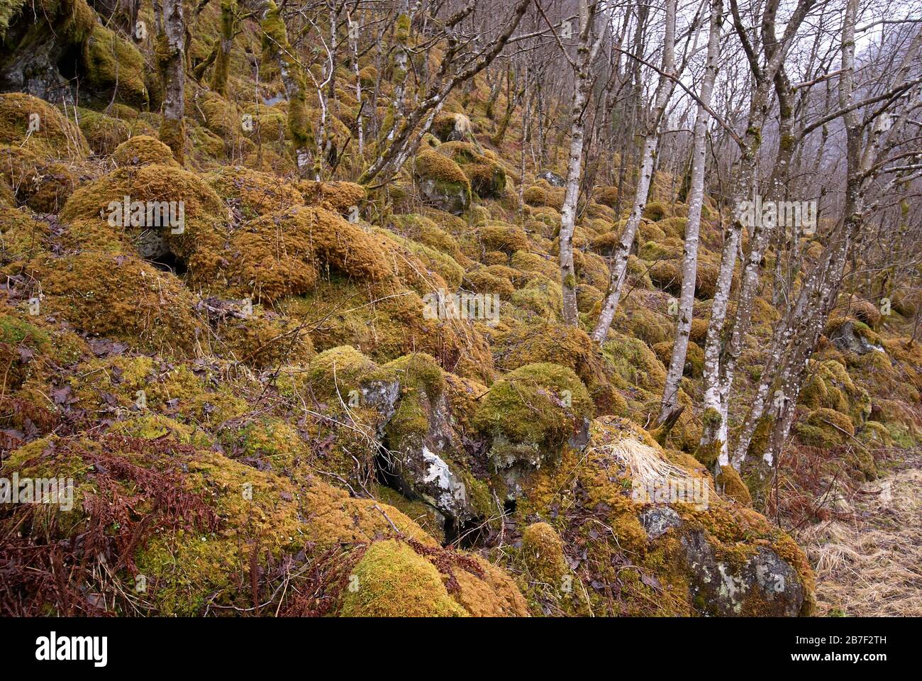 Valley naeroydalen hi-res stock photography and images - Alamy