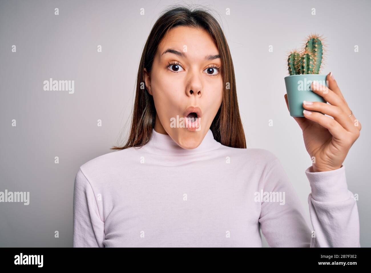 Young beautiful brunette girl holding small cactus plant pot over ...