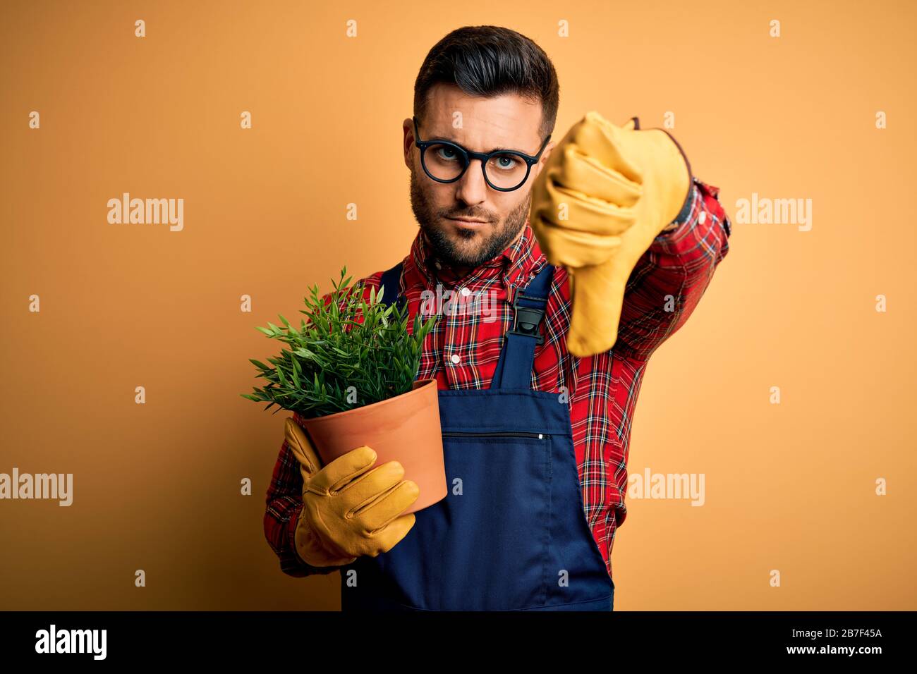 Young gardener man wearing working apron gardening plat for hobby over ...