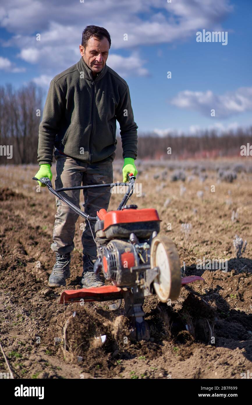 Farmer weeding with a motorized tiller on a lavender field Stock Photo ...