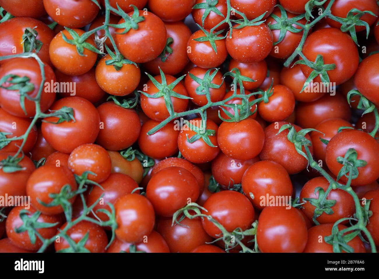 fruits and vegetables at organic fair stock photo Stock Photo - Alamy