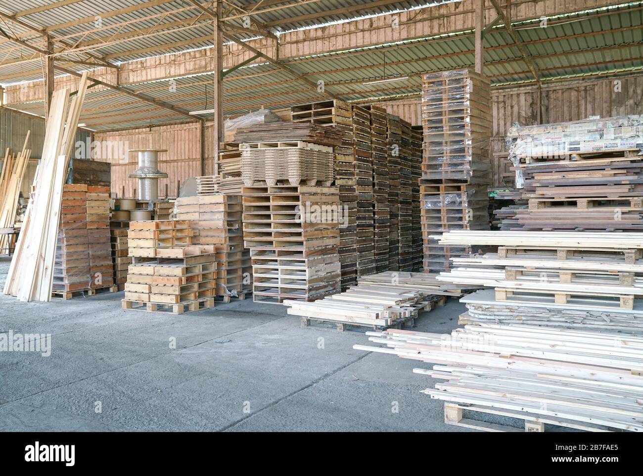 Pile of pine wood in a warehouse or storage room. Wood proceesing, wood ...
