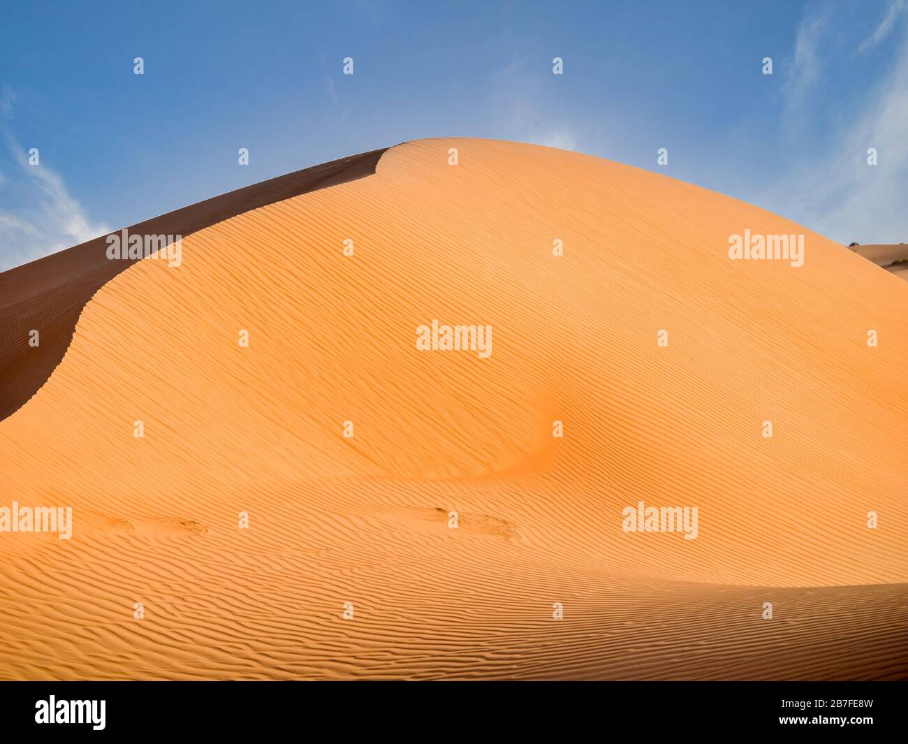 Armonic and soft sand desert dune in wahiba sands, Oman Stock Photo - Alamy