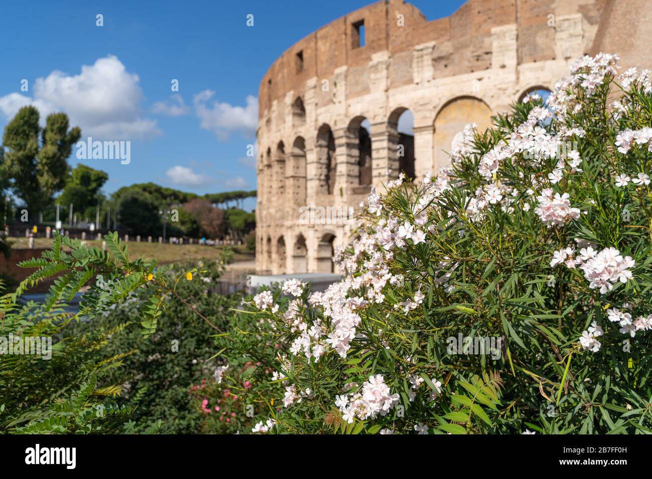 Spring time in rome hi-res stock photography and images - Alamy