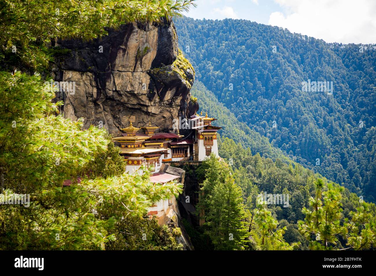 Paro Taktsang (Tiger's Nest) Monastery peeking out behind a pine tree ...