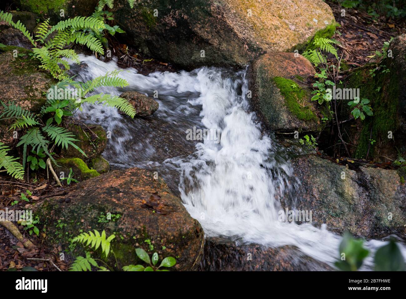 Little brook waterfall hi-res stock photography and images - Alamy