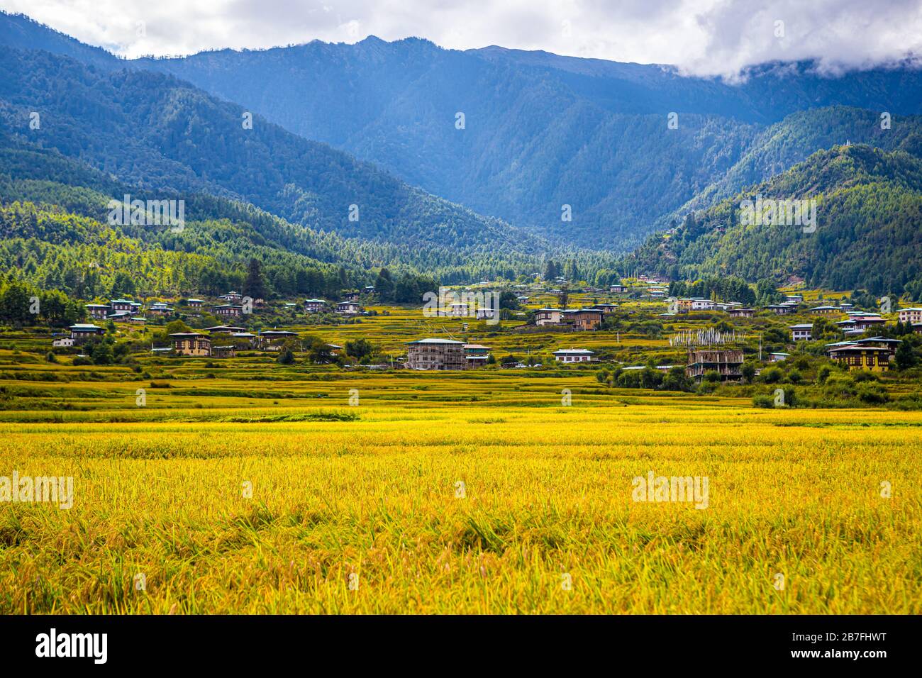Valley of rice field hi-res stock photography and images - Alamy