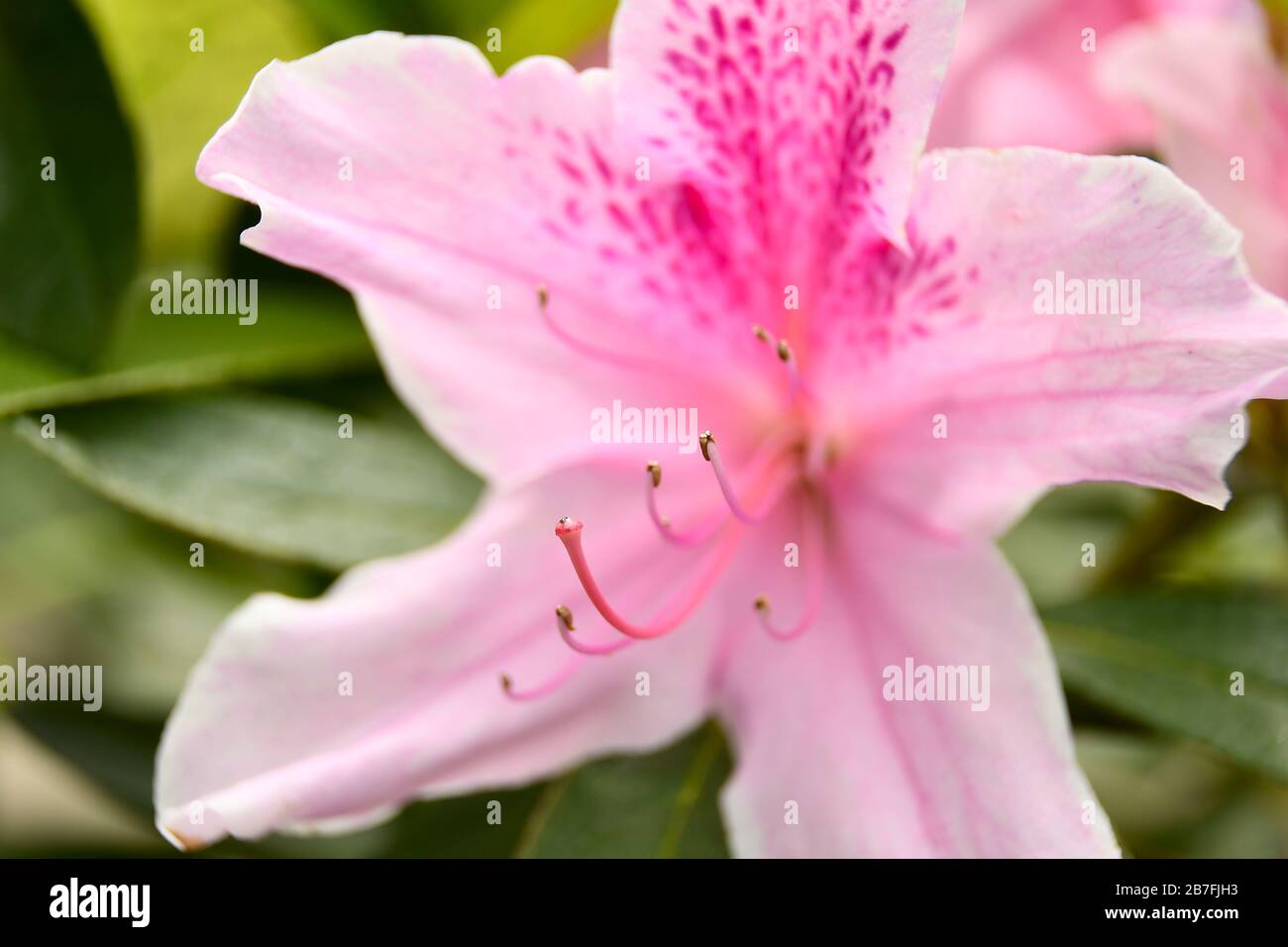 George taber hi-res stock photography and images - Alamy