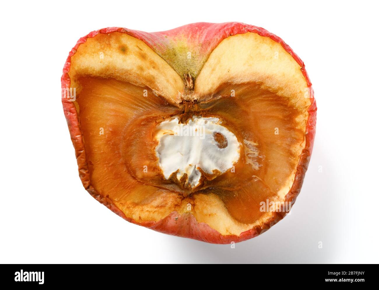 top view overripe apple with rotten core on white background Stock ...