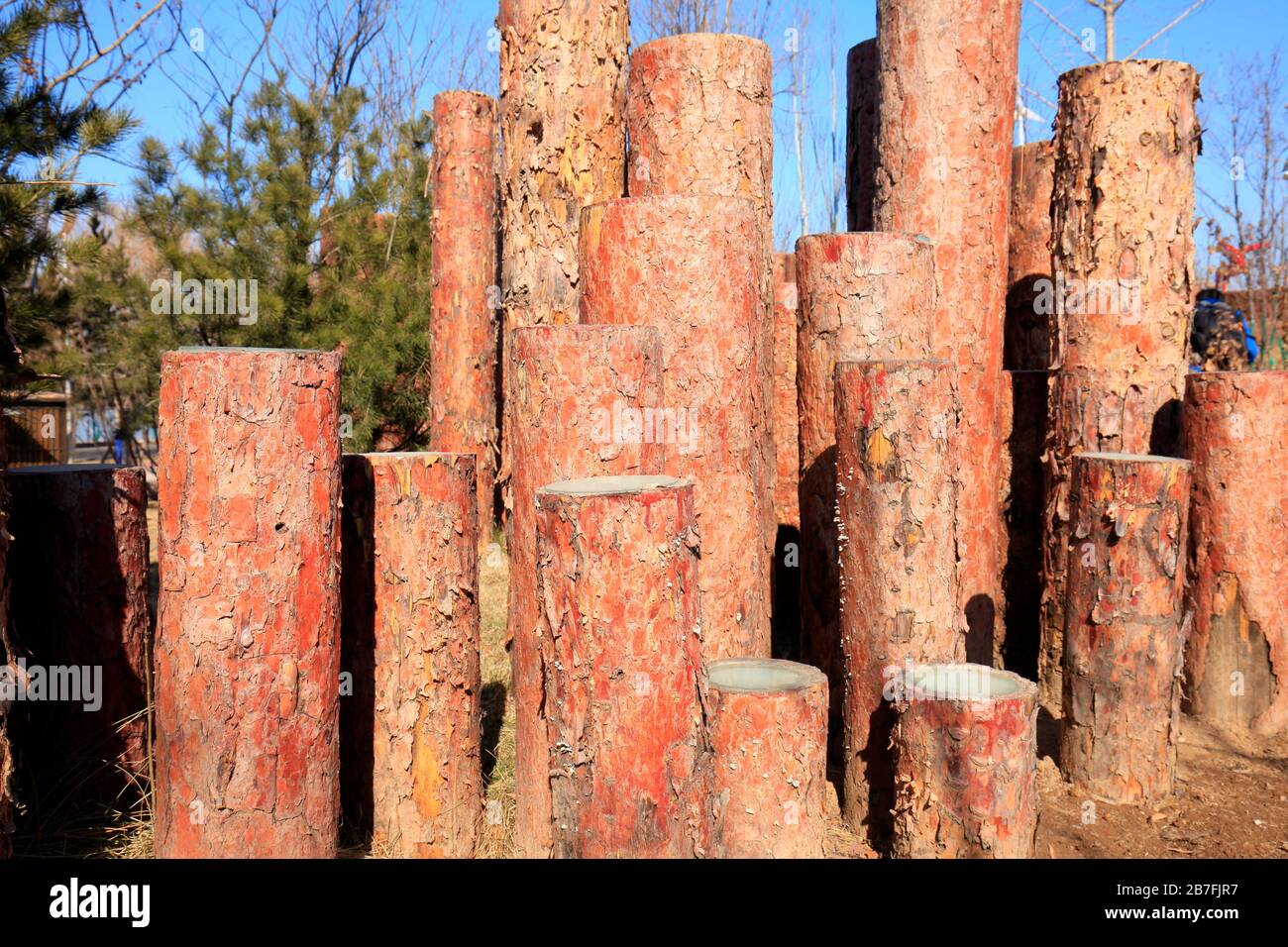 Timber stake hi-res stock photography and images - Alamy