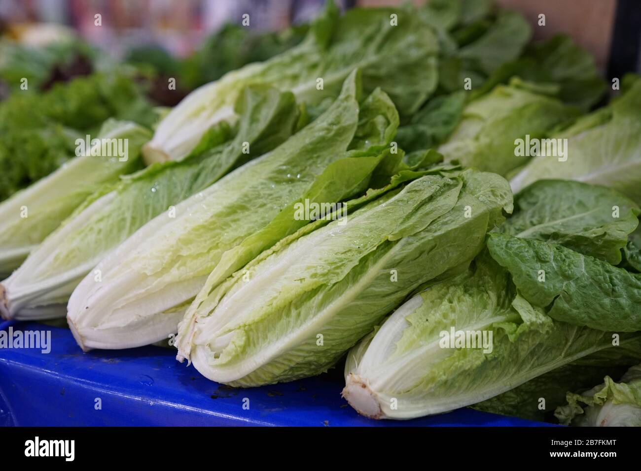Fresh lettuce in farmer's market Stock Photo - Alamy