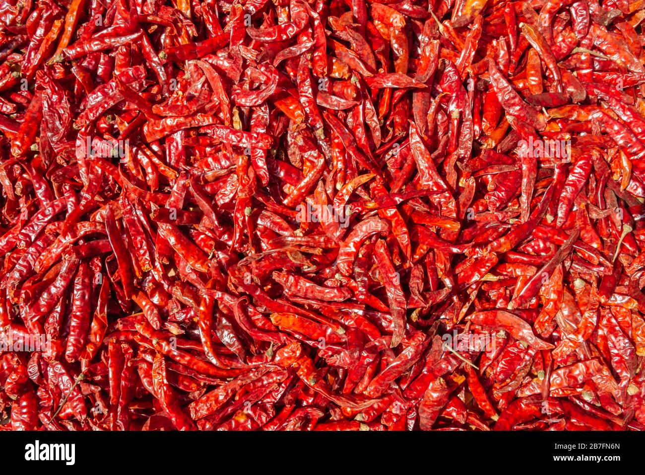 Chilli peppers creative view hi-res stock photography and images - Alamy