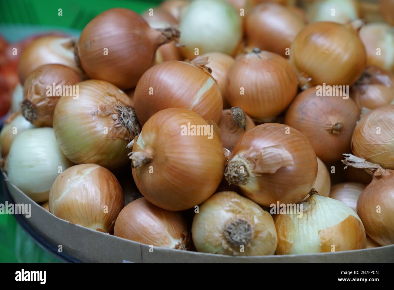Onion Family stock photo Stock Photo - Alamy
