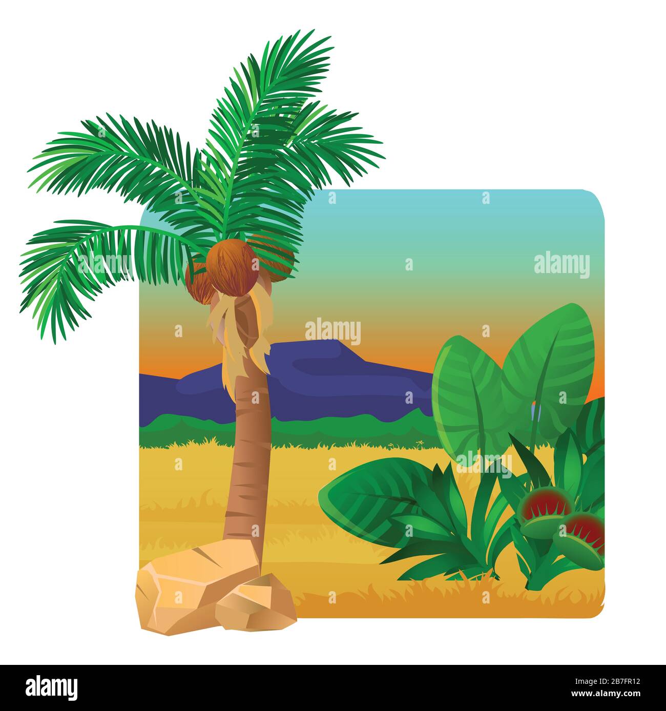 Animated Coconut Tree