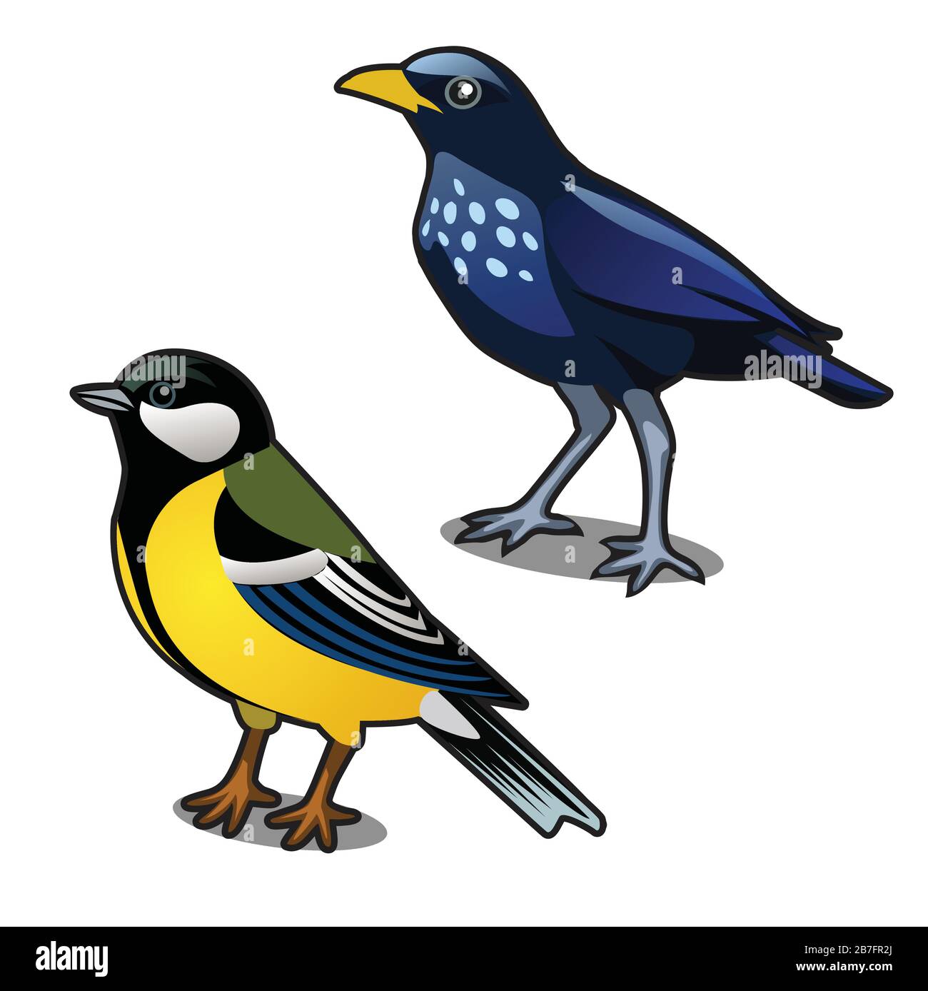 Bird blue tit and jackdaw isolated on white background. Vector cartoon ...