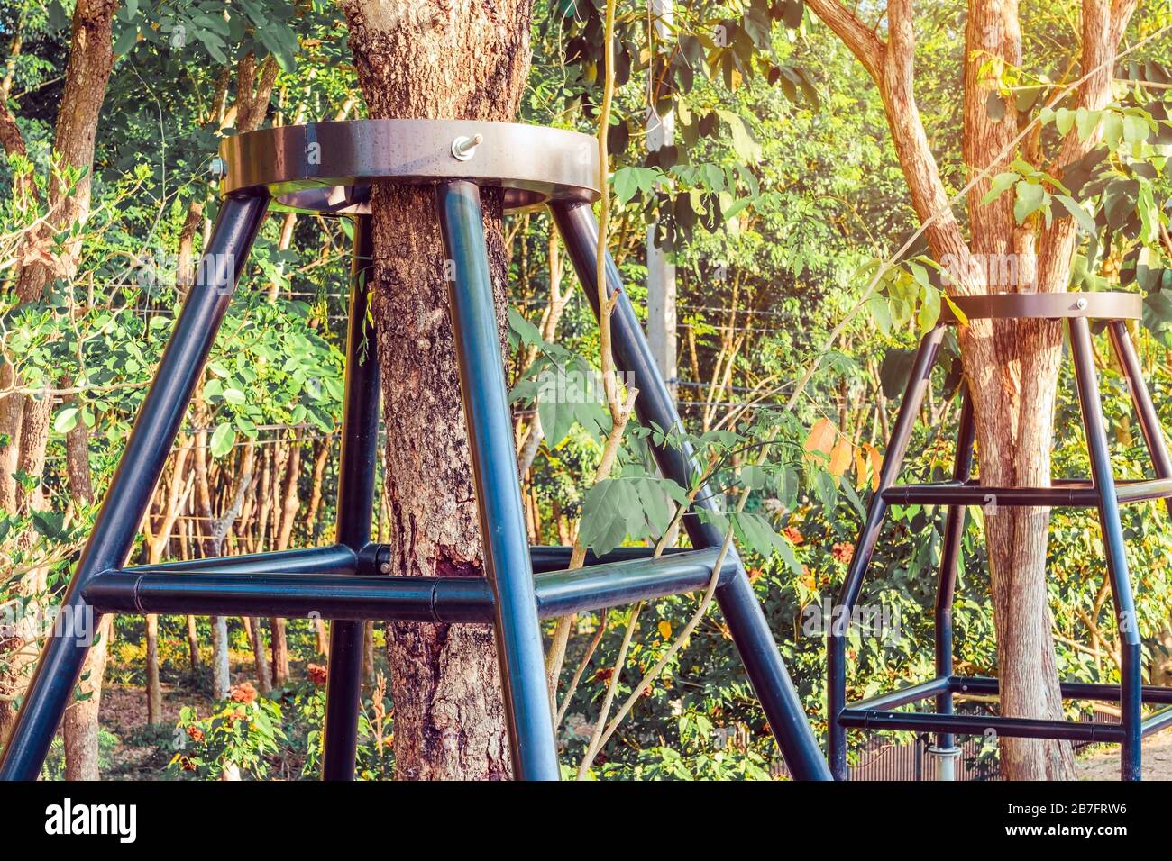 Black steel column supports and controls the branches and trunks of the ...