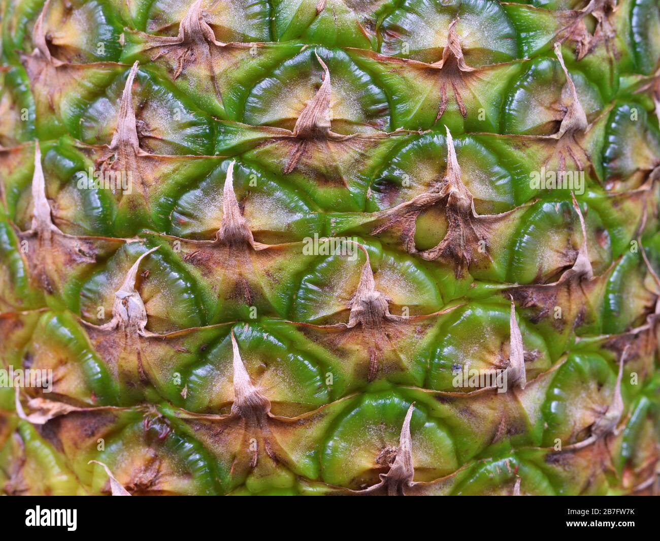 Close up shot of pineapple fruit texture Stock Photo - Alamy