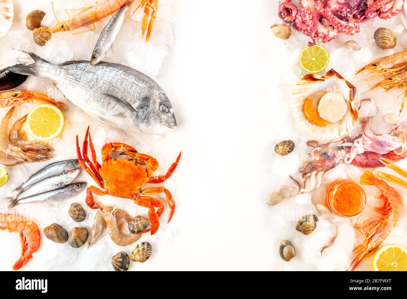Fish and seafood variety, a flat lay overhead shot on white, with copy ...