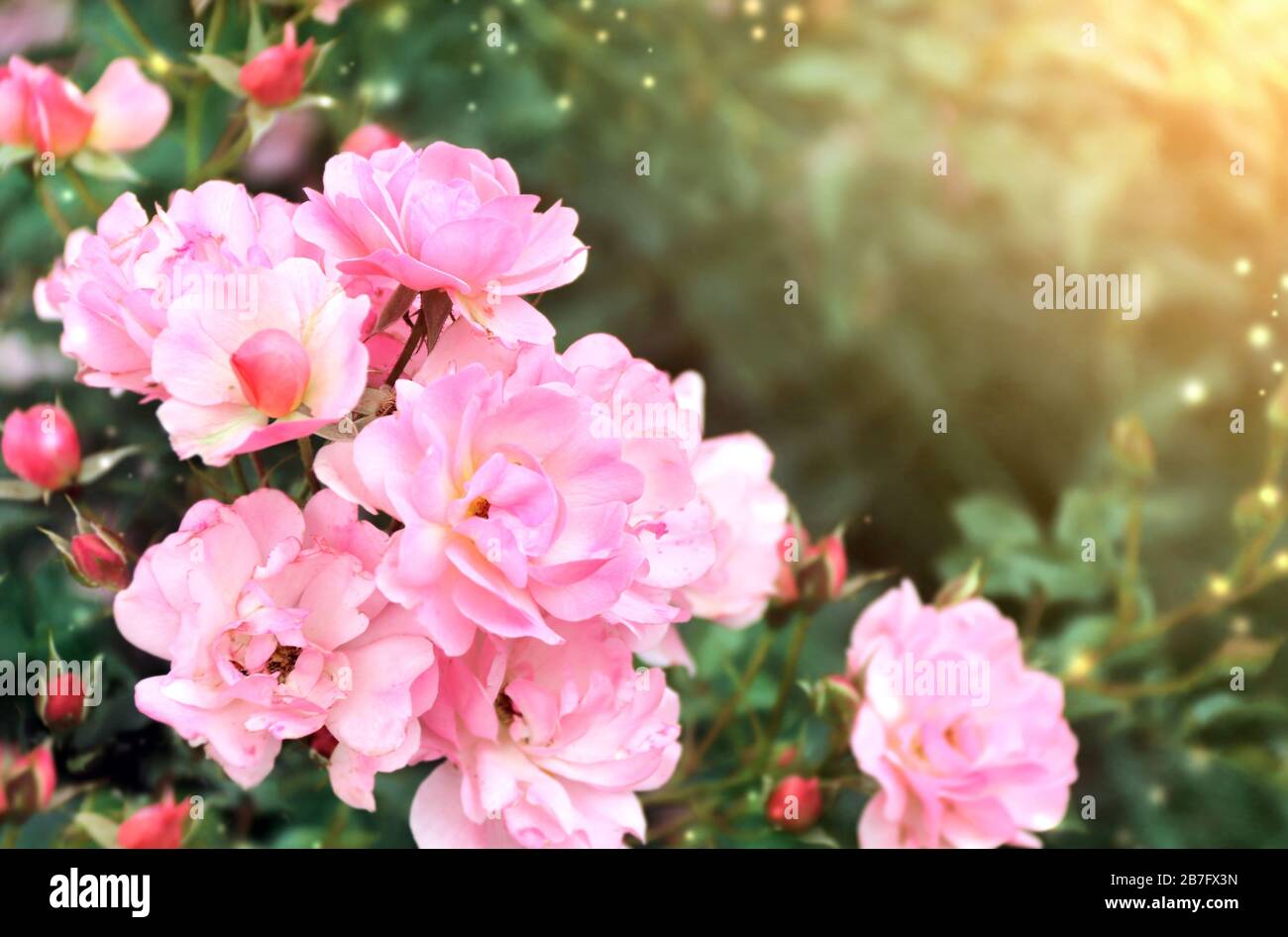 Magical wallpaper hi-res stock photography and images - Alamy