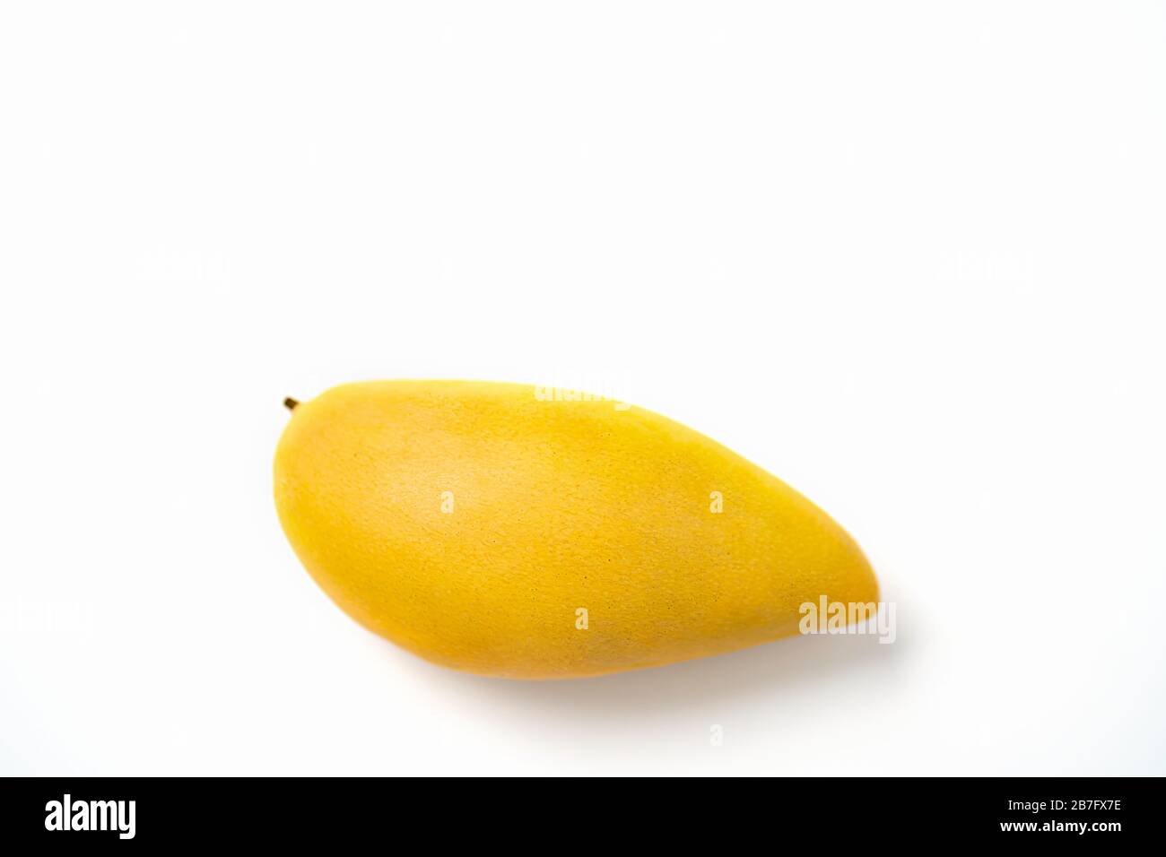 One whole mango fruit. Delicious ripe juicy fresh yellow mango isolated ...