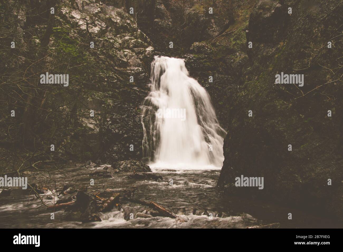 Waterfall coming down a cliff surrounded by several trees Stock Photo ...