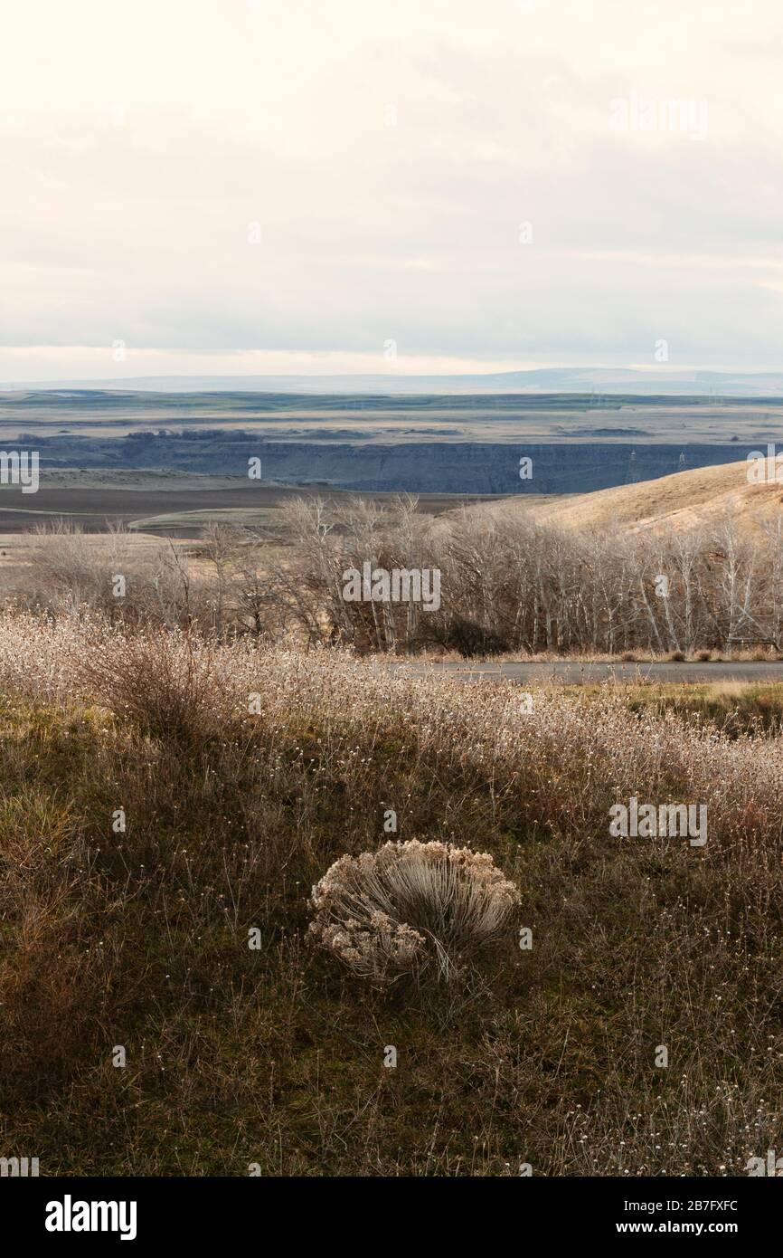 Wheat field under clouded sky hi-res stock photography and images - Alamy