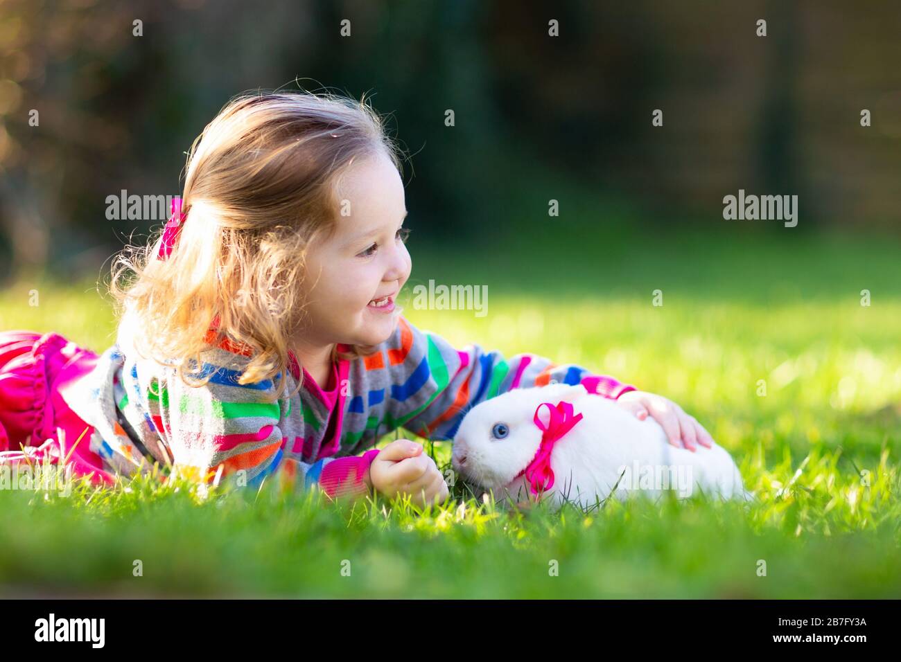 Child playing with white rabbit. Little girl feeding and petting white ...
