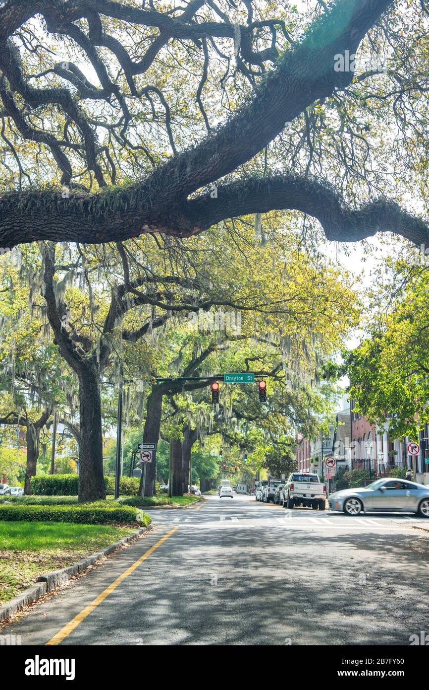 Oglethorpe square hi-res stock photography and images - Alamy