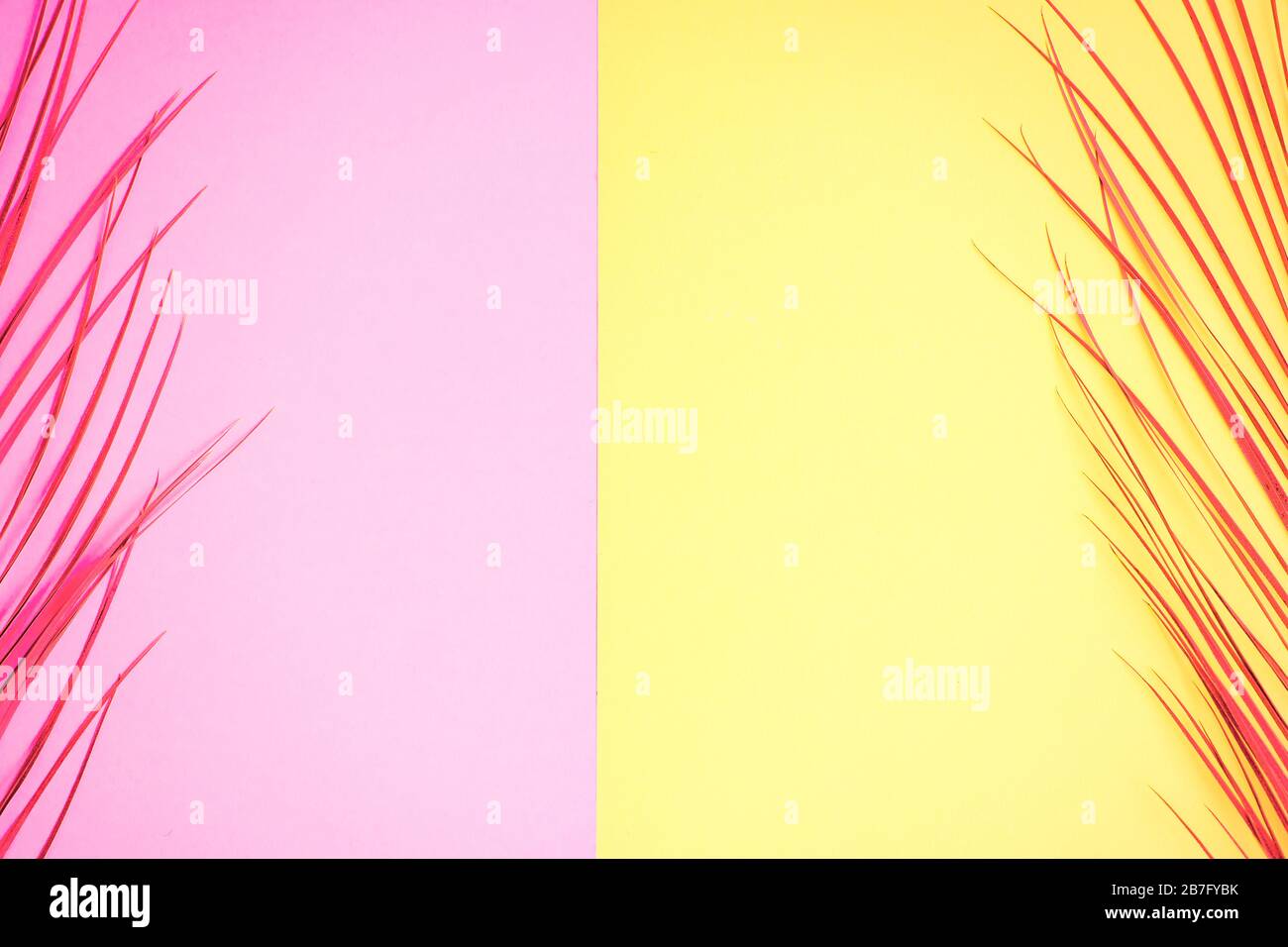 Beautiful two-tone background. Summer concept. Top view, flat lay ...