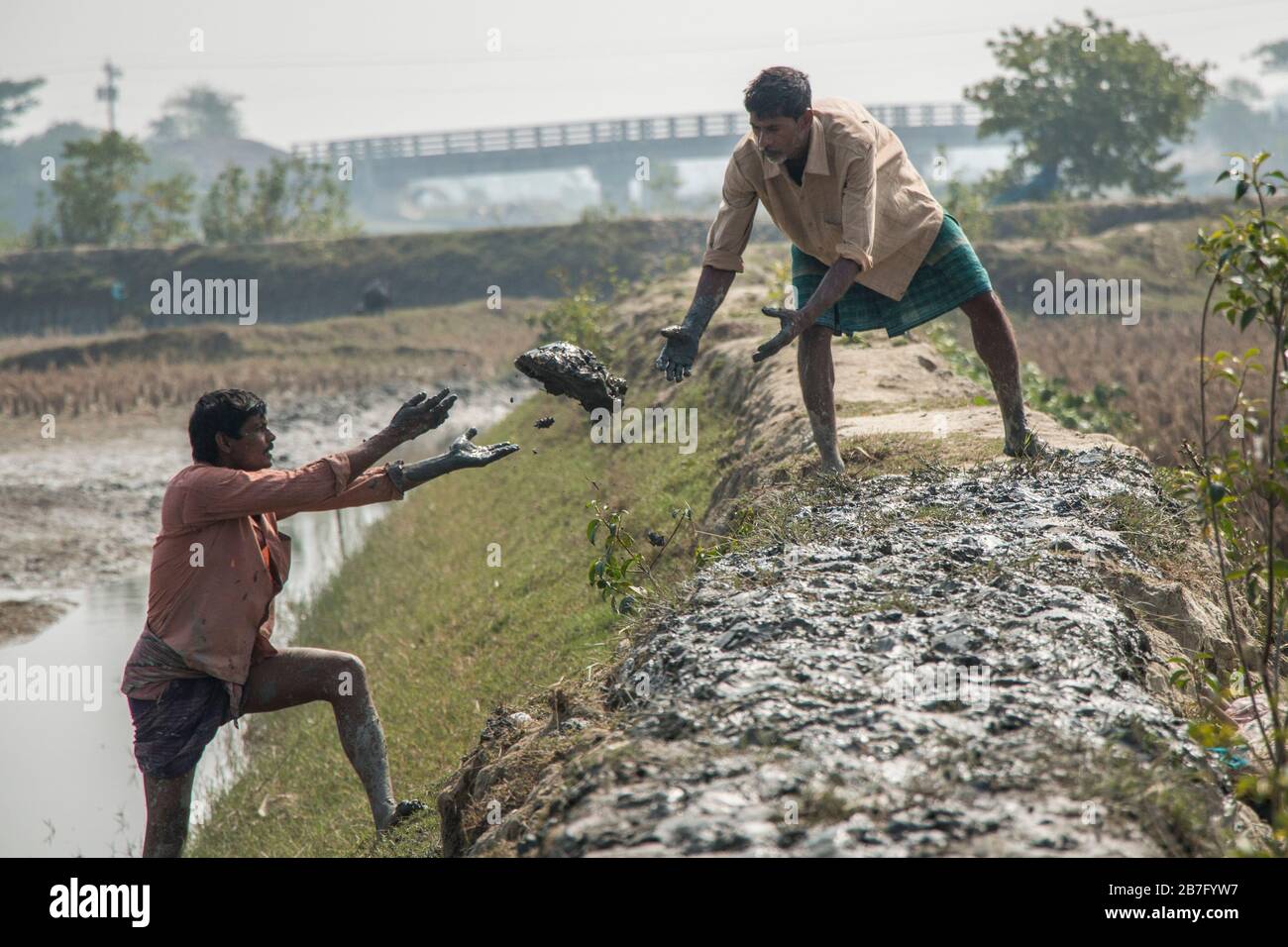 Labor is a critical input in agricultural production. It accounts for ...