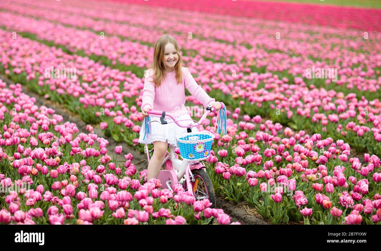 Child riding bike in tulip flower field during family spring vacation ...