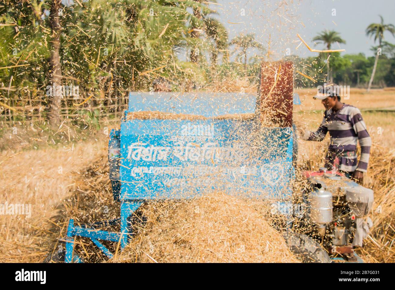 Labor is a critical input in agricultural production. It accounts for ...