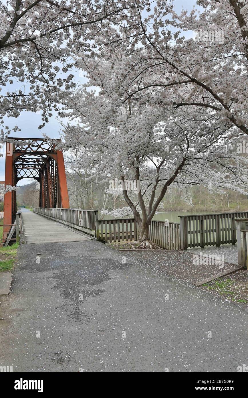 Hazel ruby park hi-res stock photography and images - Alamy