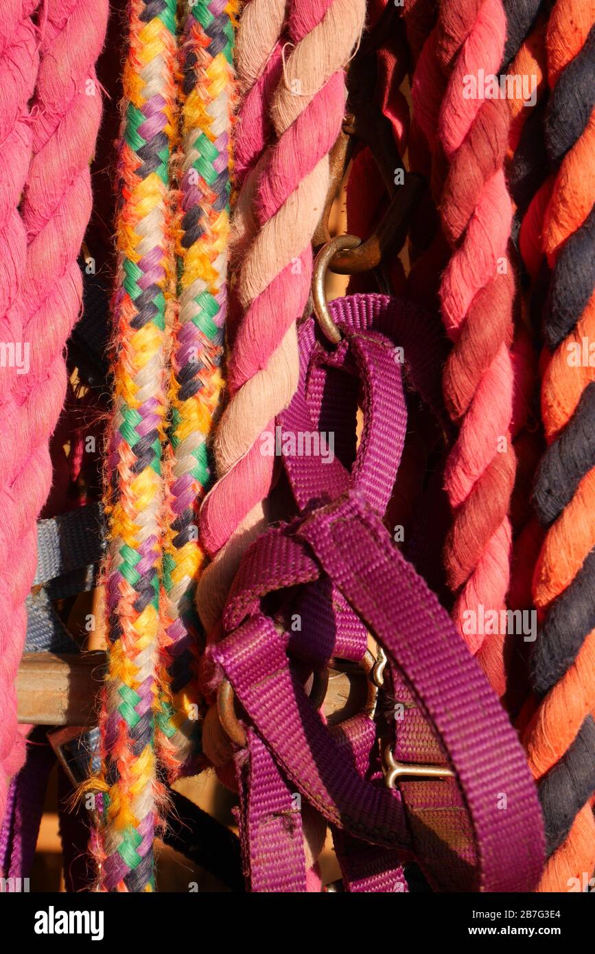 Colourful ropes hi-res stock photography and images - Alamy