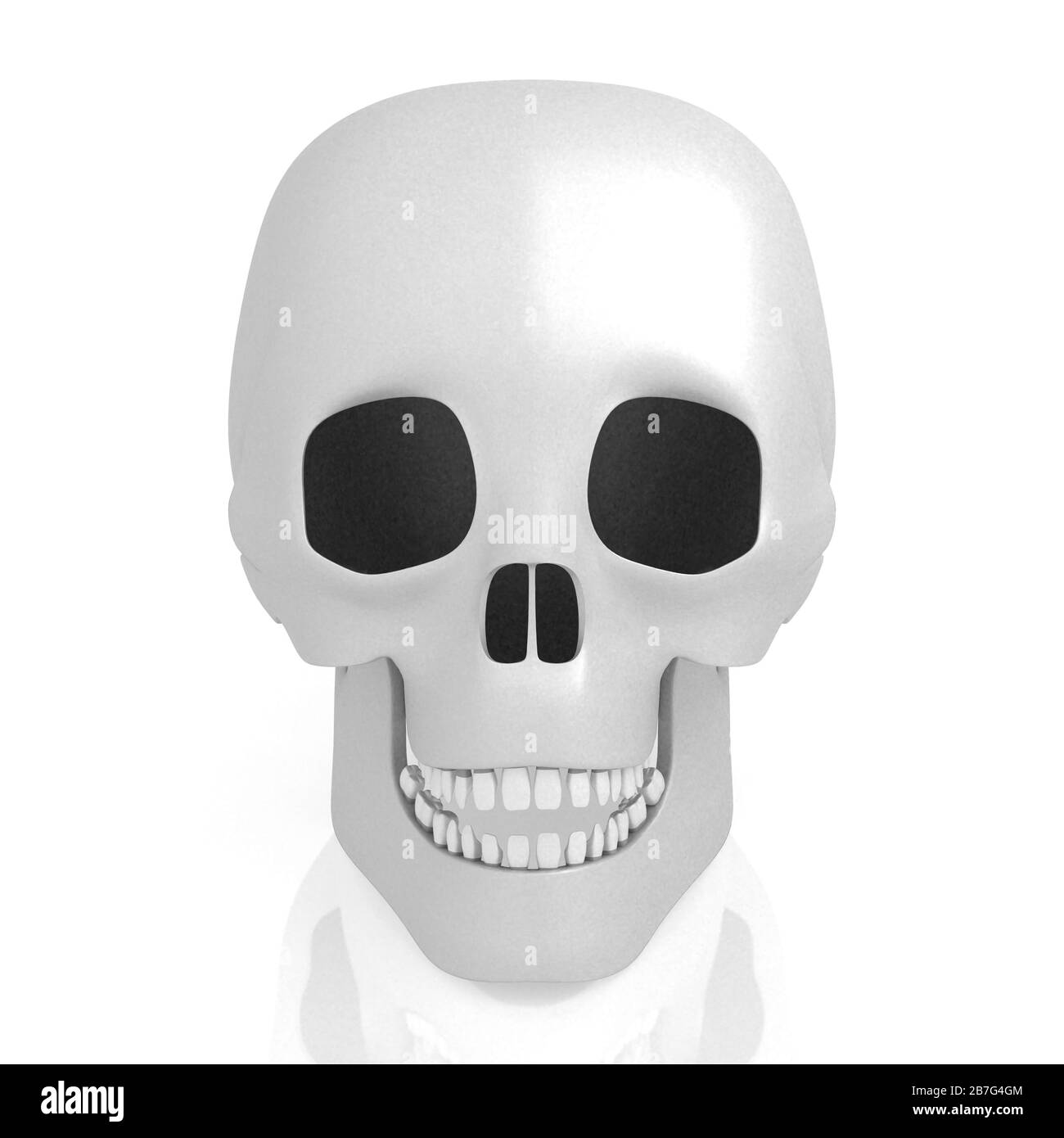 Skull front view on Black and White Stock Photos & Images - Alamy