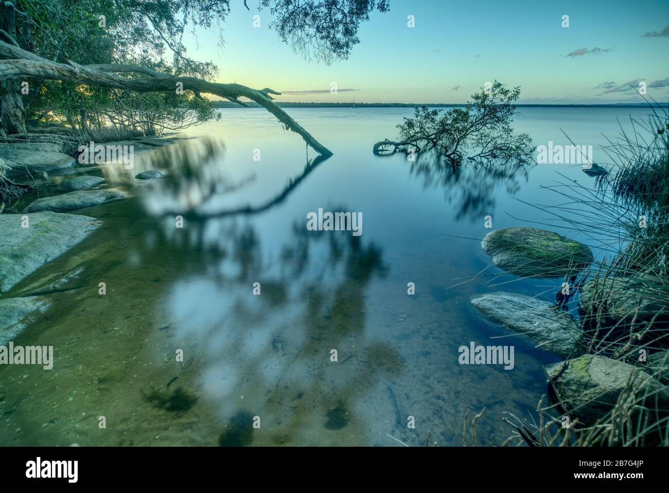 The Lake Cootharaba vegetation near the Noosa's Everglade, Australia ...