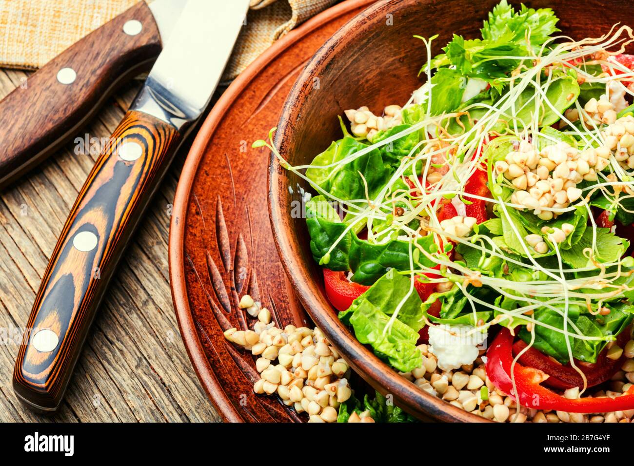 Stalks spinach hi-res stock photography and images - Alamy