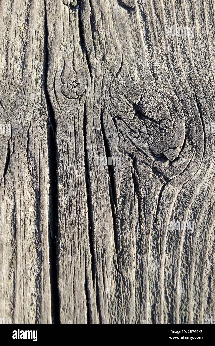 old wood background with panel . in bad condition Stock Photo - Alamy