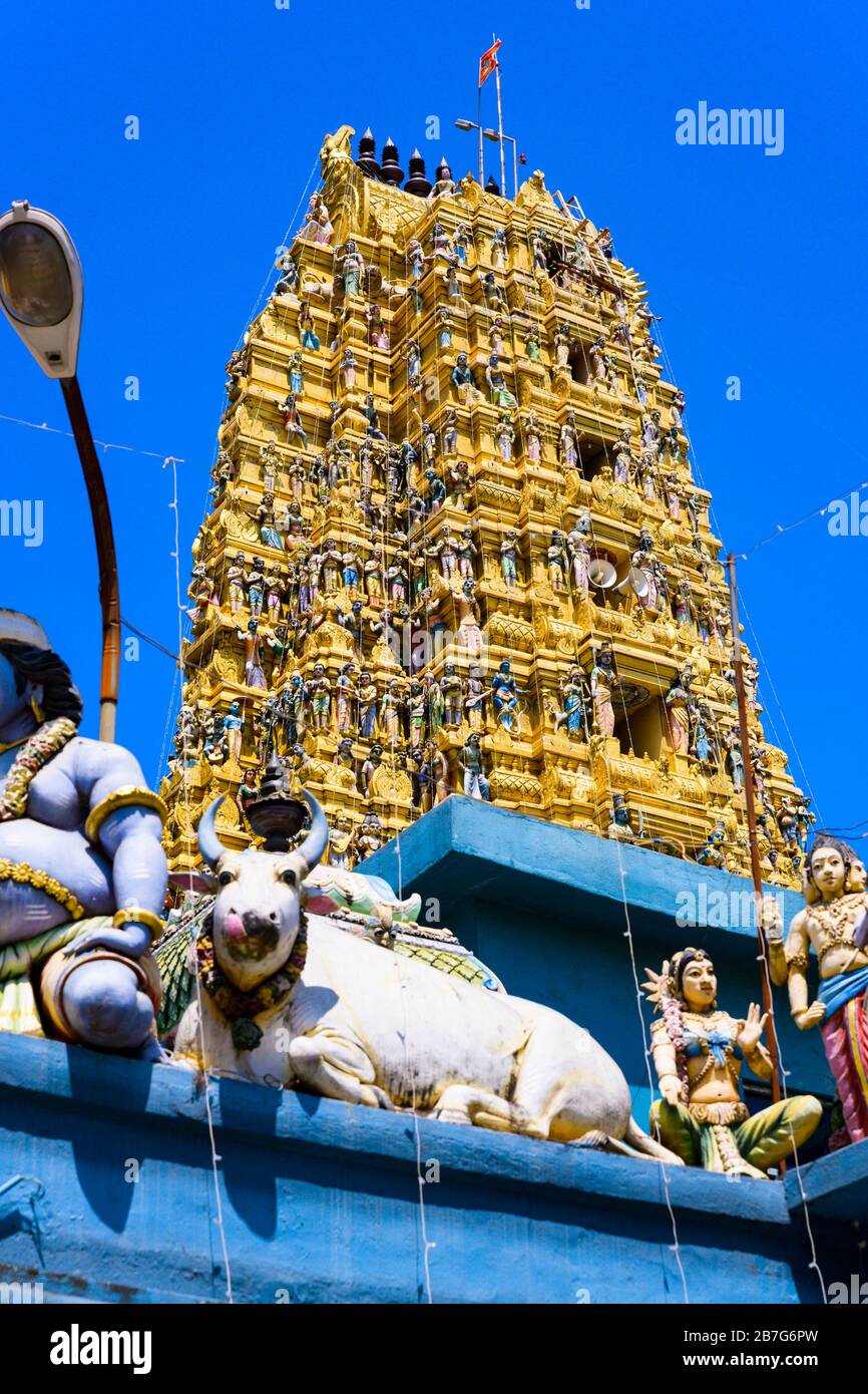 South Asia Sri Lanka Matale Sri Muthumariamman Thevasthanam Hindu ...