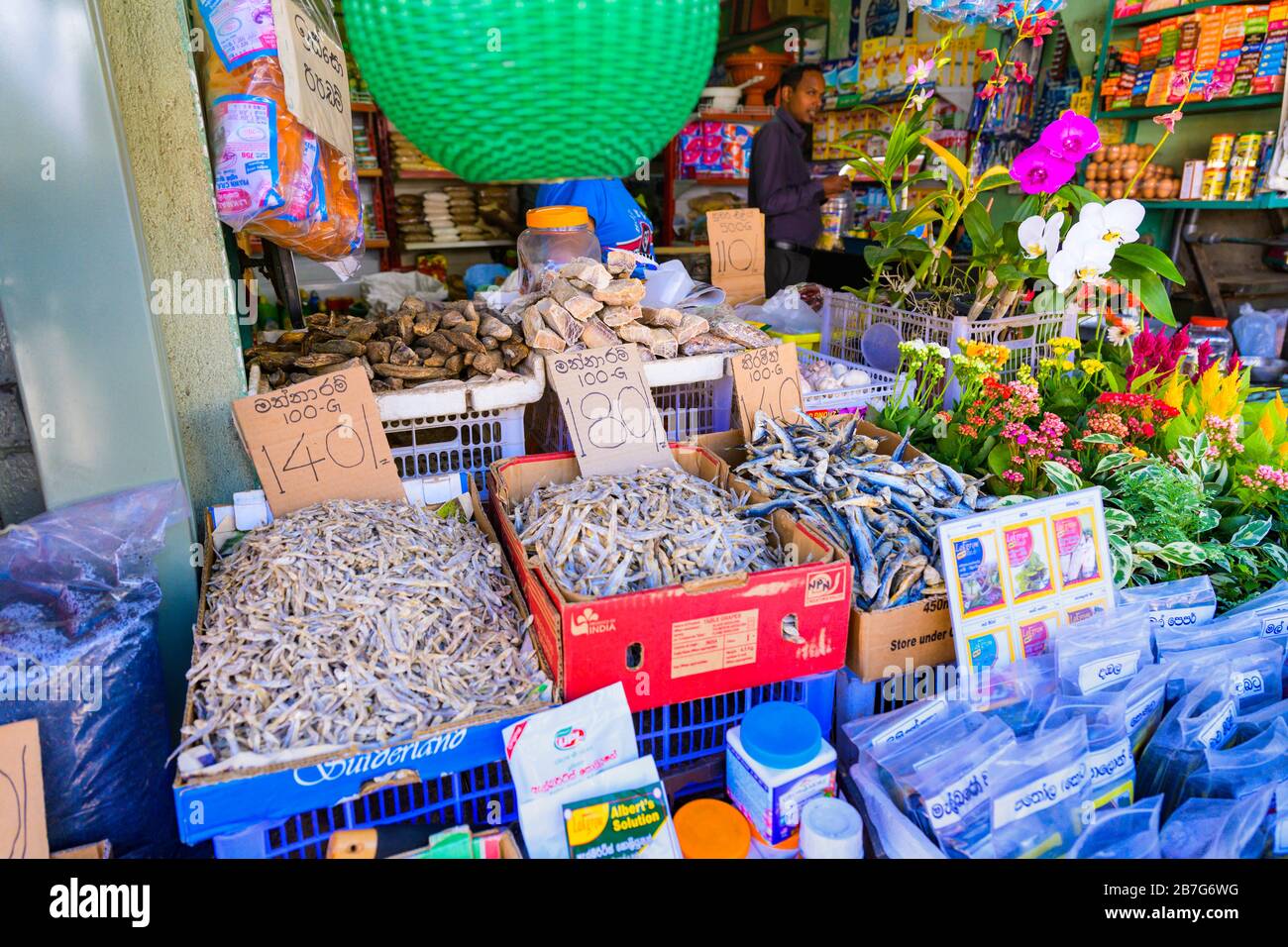 Dried fish market sri lanka hi-res stock photography and images - Alamy