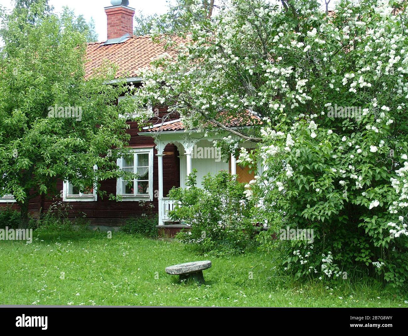 Log house surrounded by trees and bushes Stock Photo - Alamy