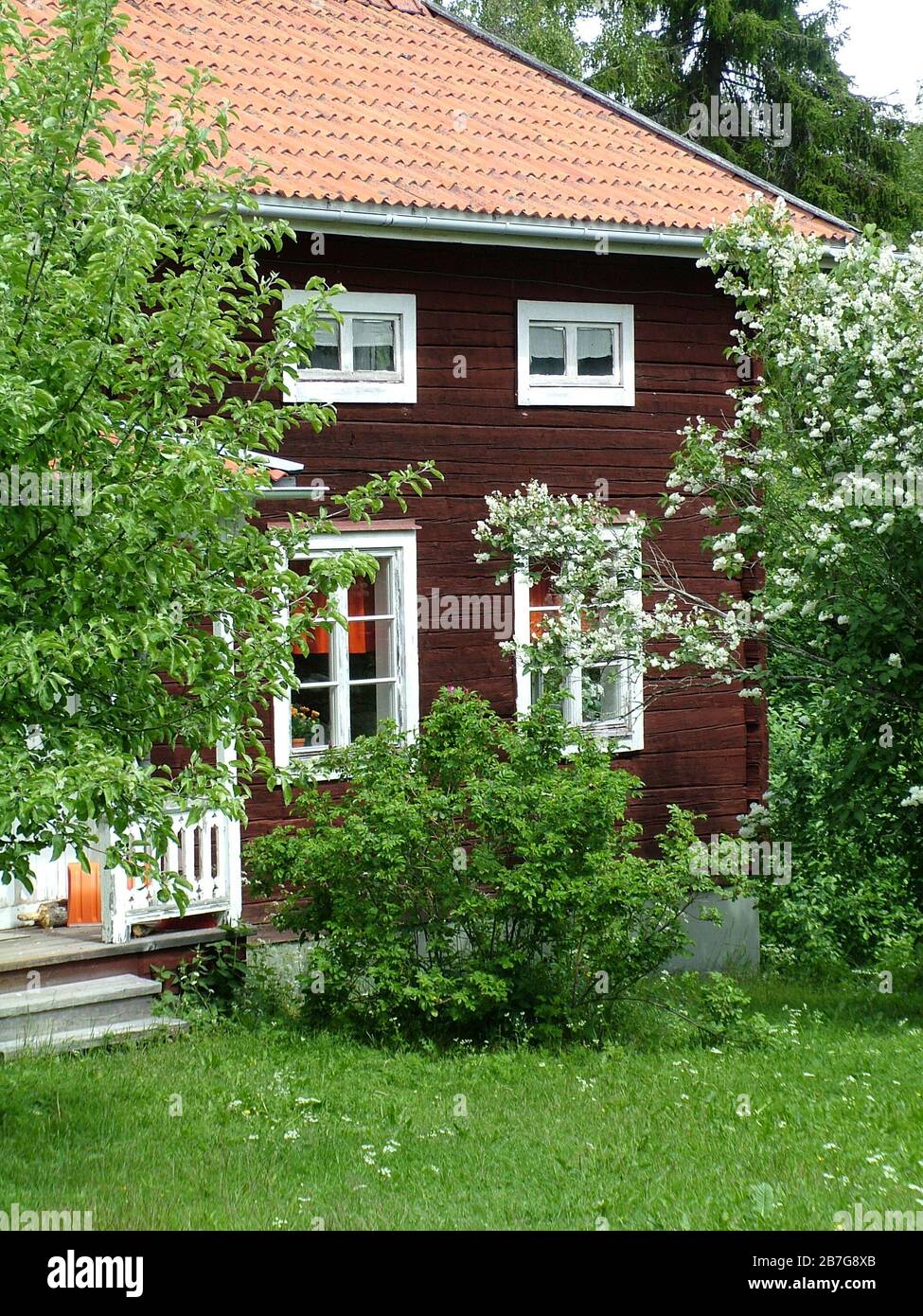 Log house surrounded by trees and bushes Stock Photo - Alamy