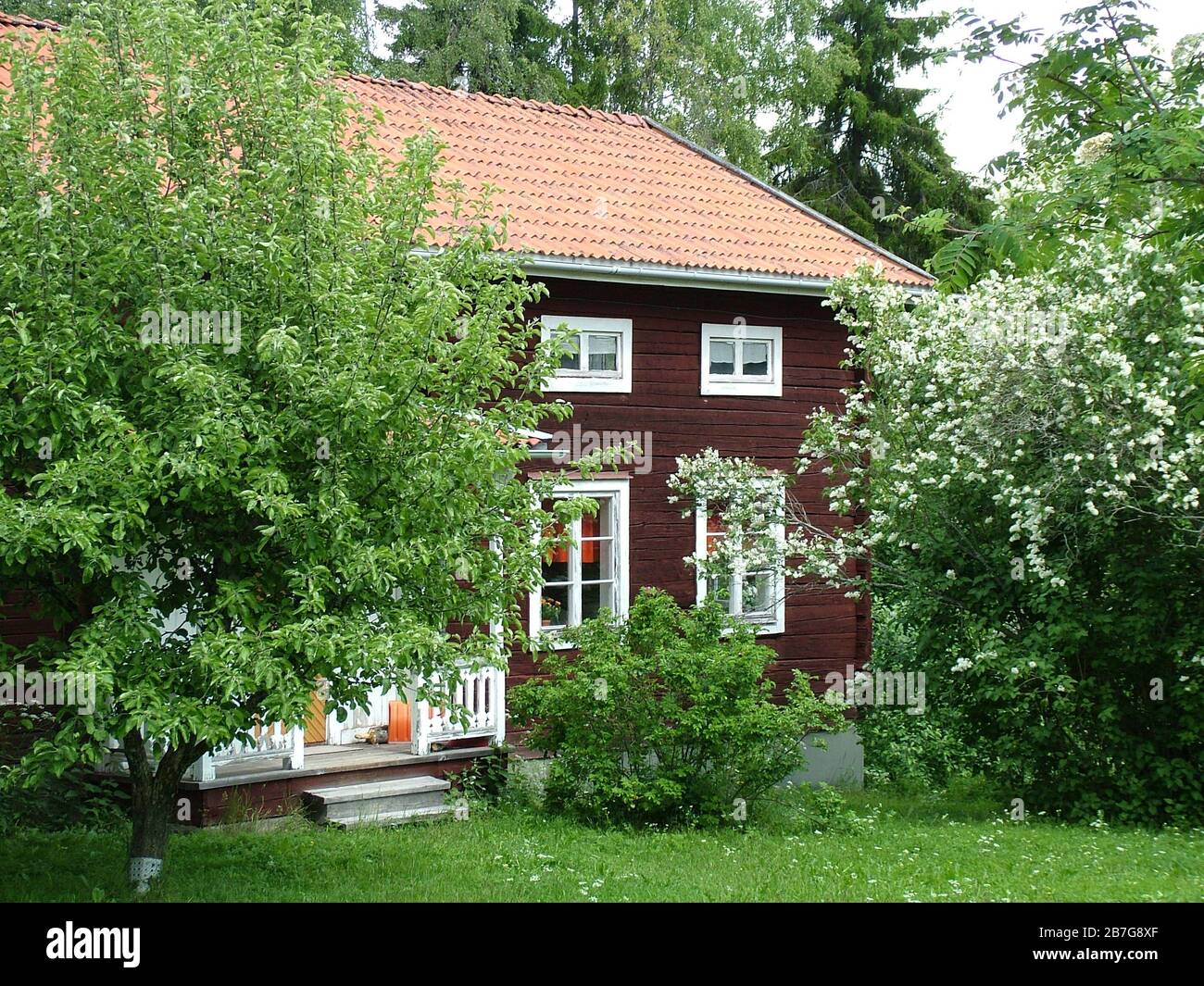 Log house surrounded by trees and bushes Stock Photo - Alamy
