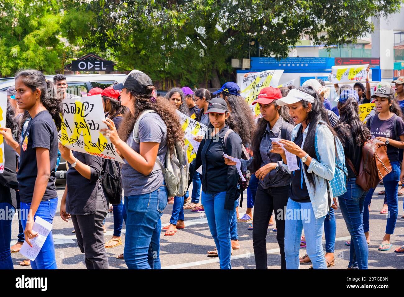South Asia Sri Lanka Capital City Colombo 7 Alexandra Place peaceful ...