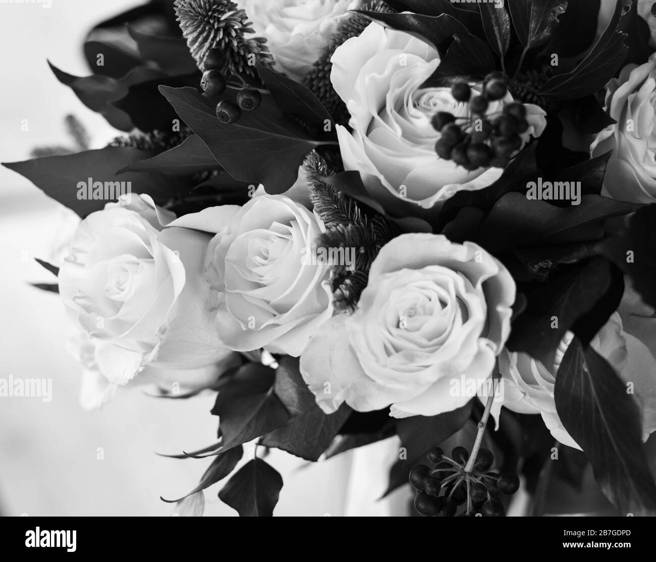 Pink flower picture Black and White Stock Photos & Images - Alamy