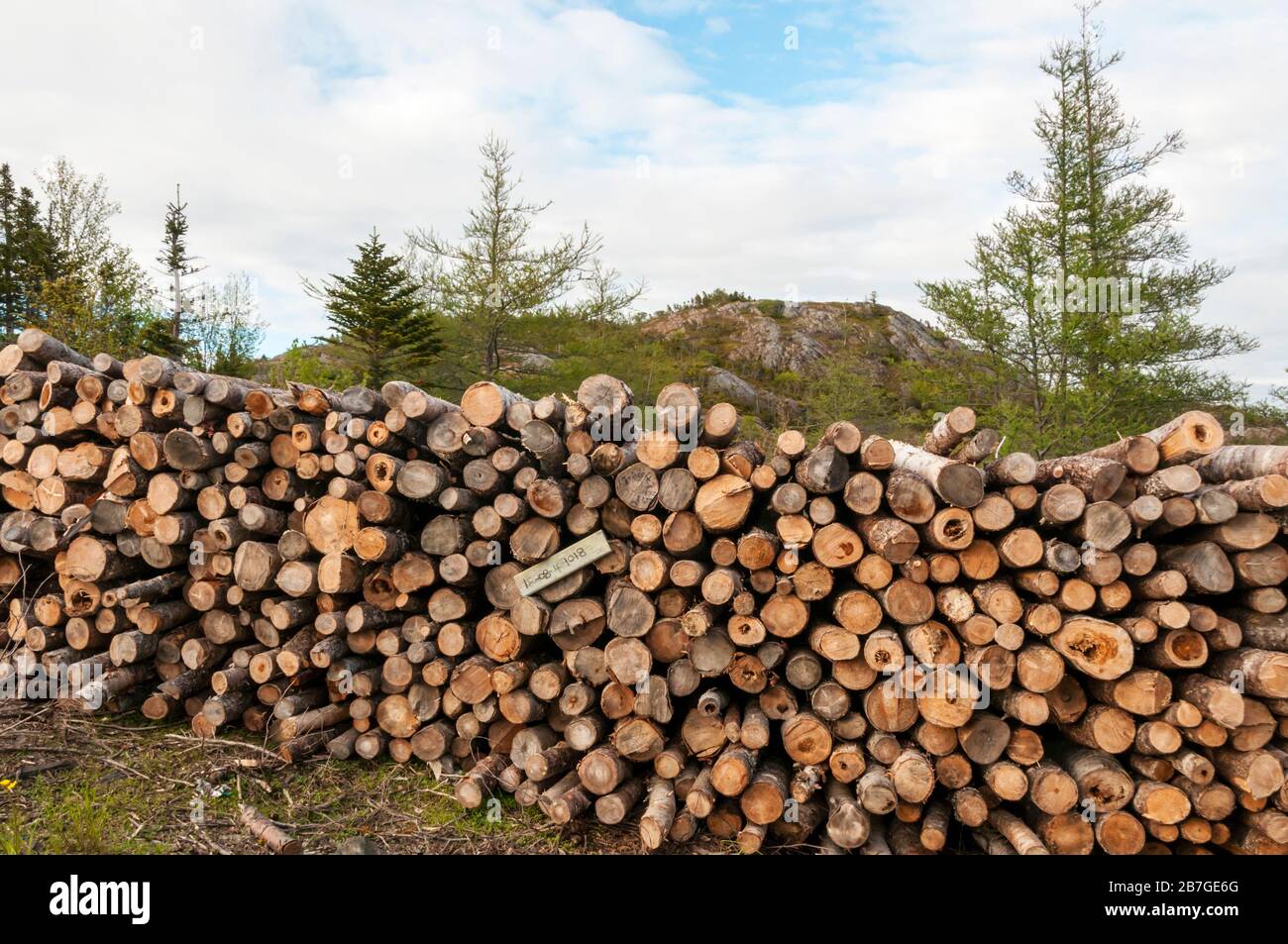 Roadside log piles hi-res stock photography and images - Alamy