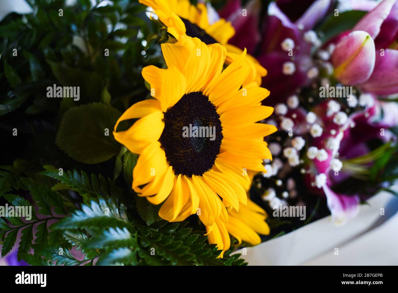 fresh natural flowers close up view Stock Photo - Alamy